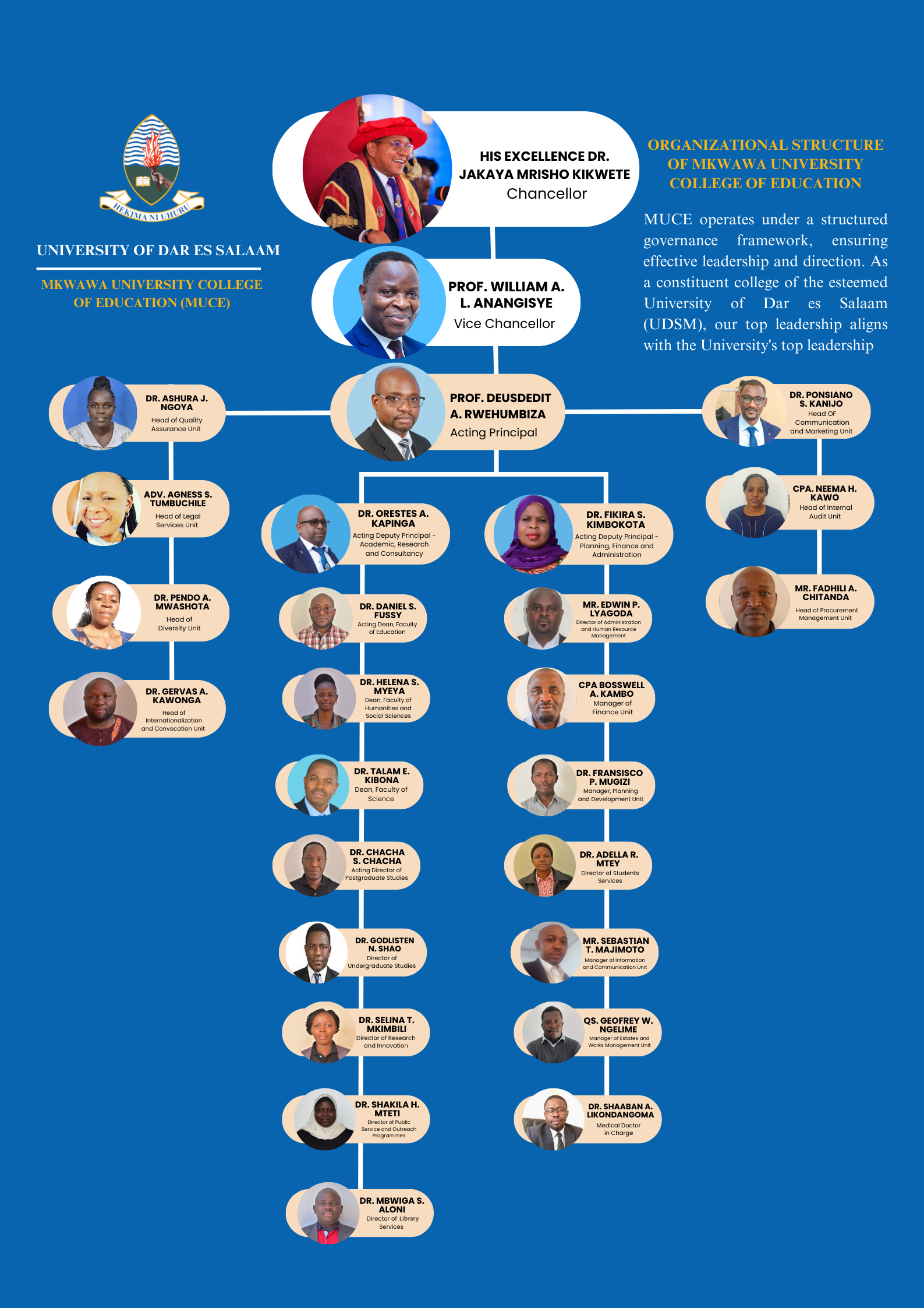 Organizational structure | Mkwawa University College of Education
